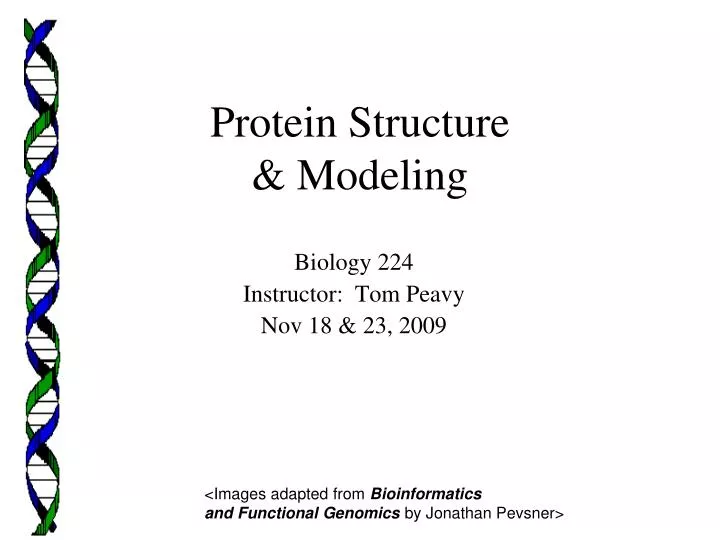 PPT - Protein Structure & Modeling PowerPoint Presentation, free ...