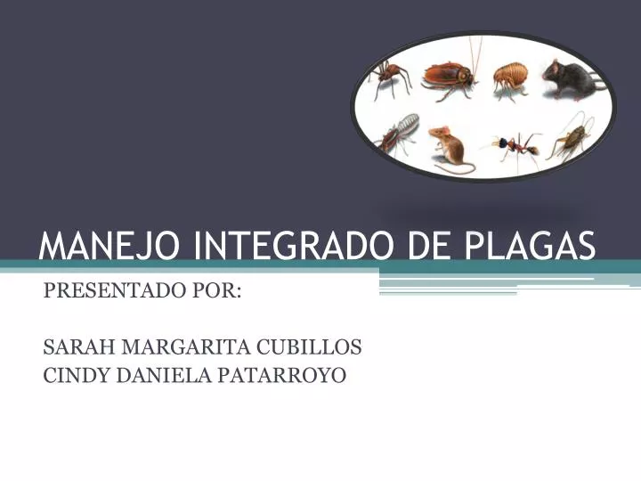 Ppt Manejo Integrado De Plagas Powerpoint Presentation Free Download