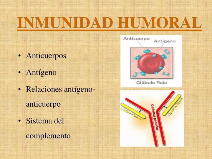 Ppt Inmunologia Powerpoint Presentation Id 4345157