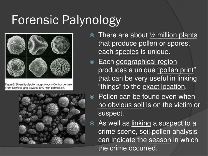 PPT - Soil analysis PowerPoint Presentation - ID:4345331