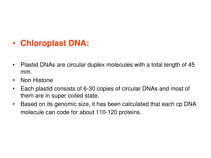 PPT - CHLOROPLAST PowerPoint Presentation - ID:4346703