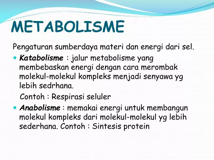 PPT - METABOLISME PowerPoint Presentation, free download - ID:4348648
