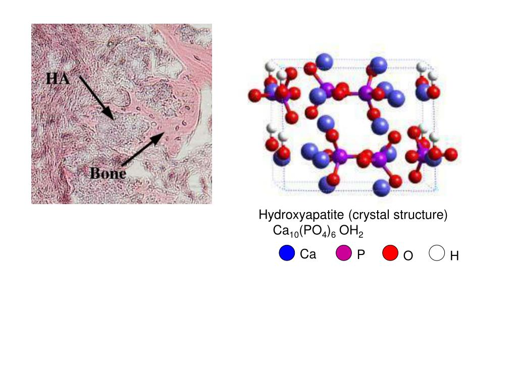 PPT Biochemistry Of Minerals PowerPoint Presentation Free Download PPT Biochemistry Of Minerals PowerPoint Presentation Free Download