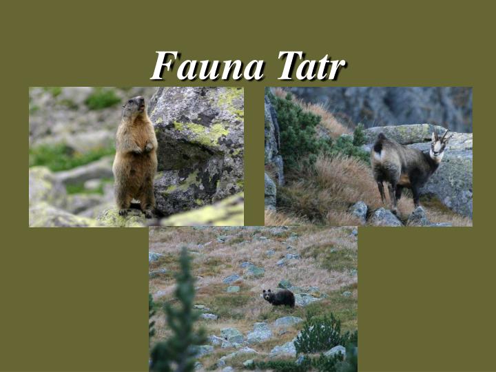 PPT - TATRY POLSKIE PowerPoint Presentation - ID:4350046