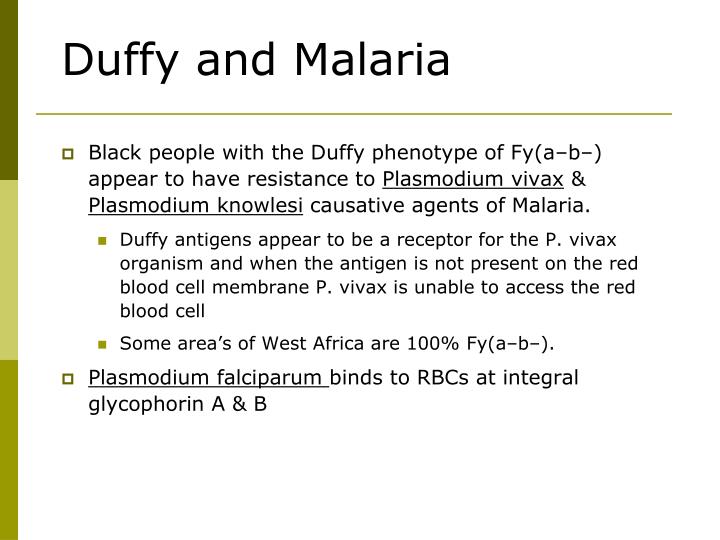 PPT - Other Blood Groups Lewis, Kell, Duffy, Kidd, Ii, MNSs & P ...