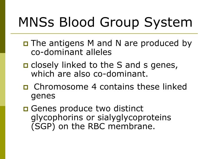 PPT - Other Blood Groups Lewis, Kell, Duffy, Kidd, Ii, MNSs & P ...