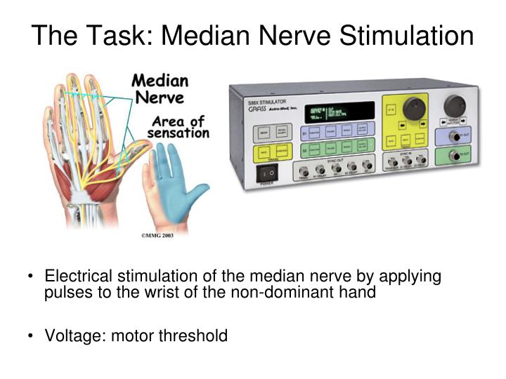 PPT - Mark Wheeler Destiny Miller Carly Demopoulos Kyle Dunovan Martin ...