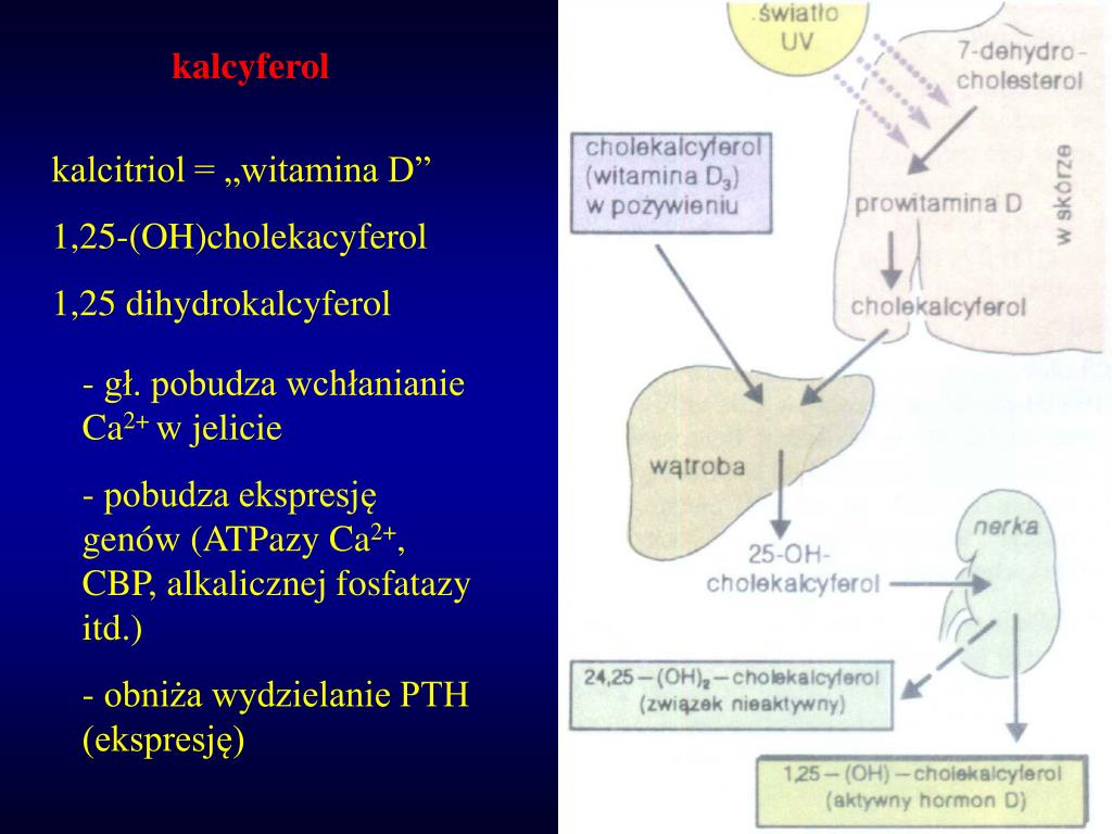 PPT - Izojonia, izowolemia PowerPoint Presentation, free download - ID ...