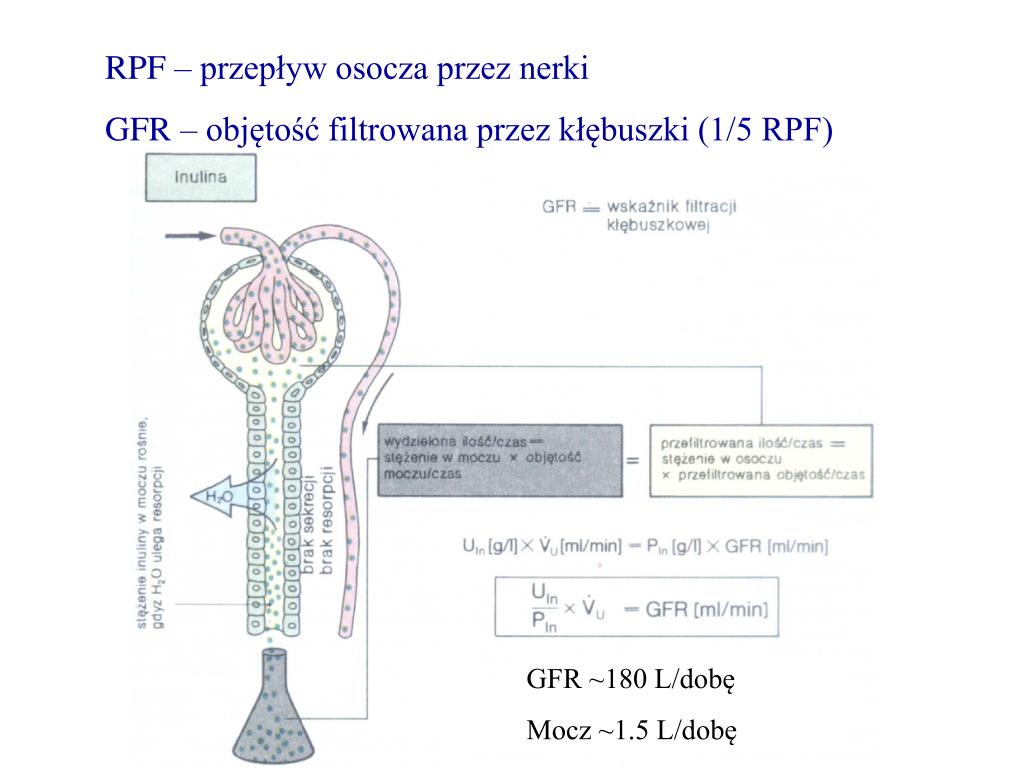 PPT - Izojonia, izowolemia PowerPoint Presentation, free download - ID ...