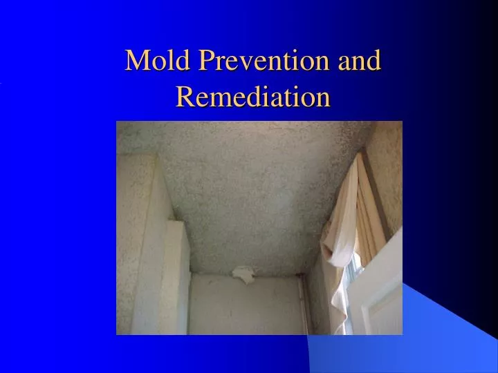 PPT - Mold Prevention and Remediation PowerPoint Presentation, free ...