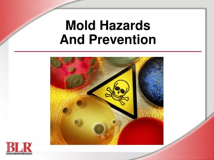 PPT - Mold Hazards And Prevention PowerPoint Presentation, free ...