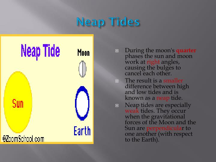 PPT - Phases of the Moon PowerPoint Presentation - ID:4354939
