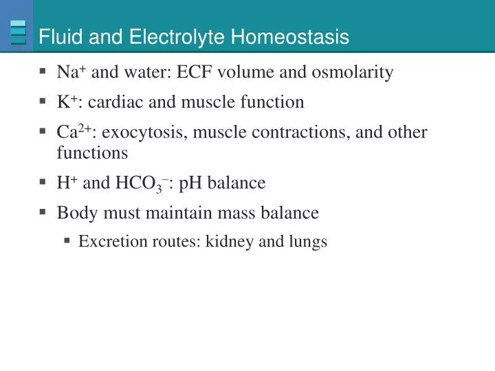 PPT - Fluid and Electrolyte Homeostasis PowerPoint Presentation, free ...