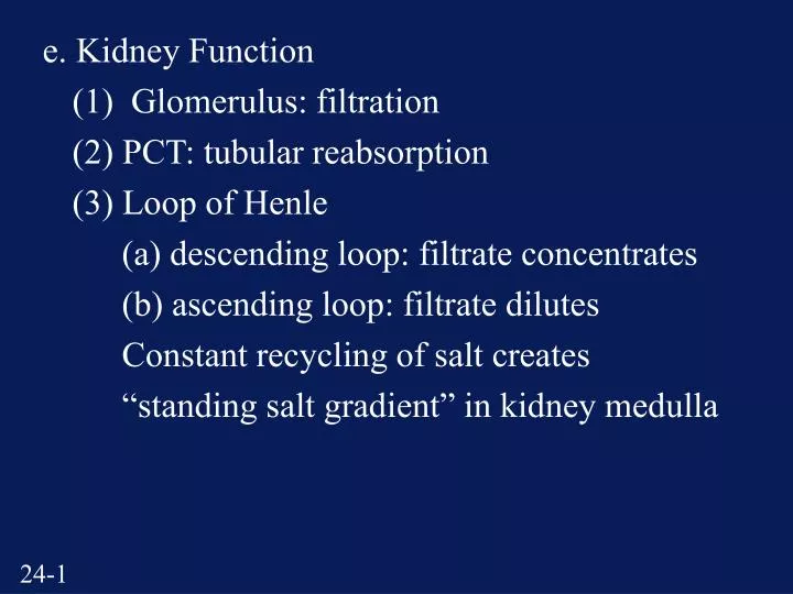 PPT - e. Kidney Function (1) Glomerulus: filtration (2) PCT: tubular ...