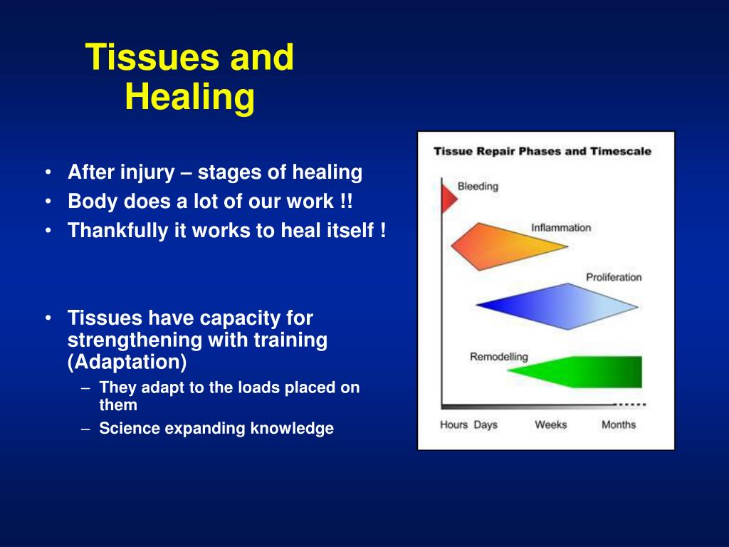 PPT - Sports Rehabilitation Key to Olympic success PowerPoint ...