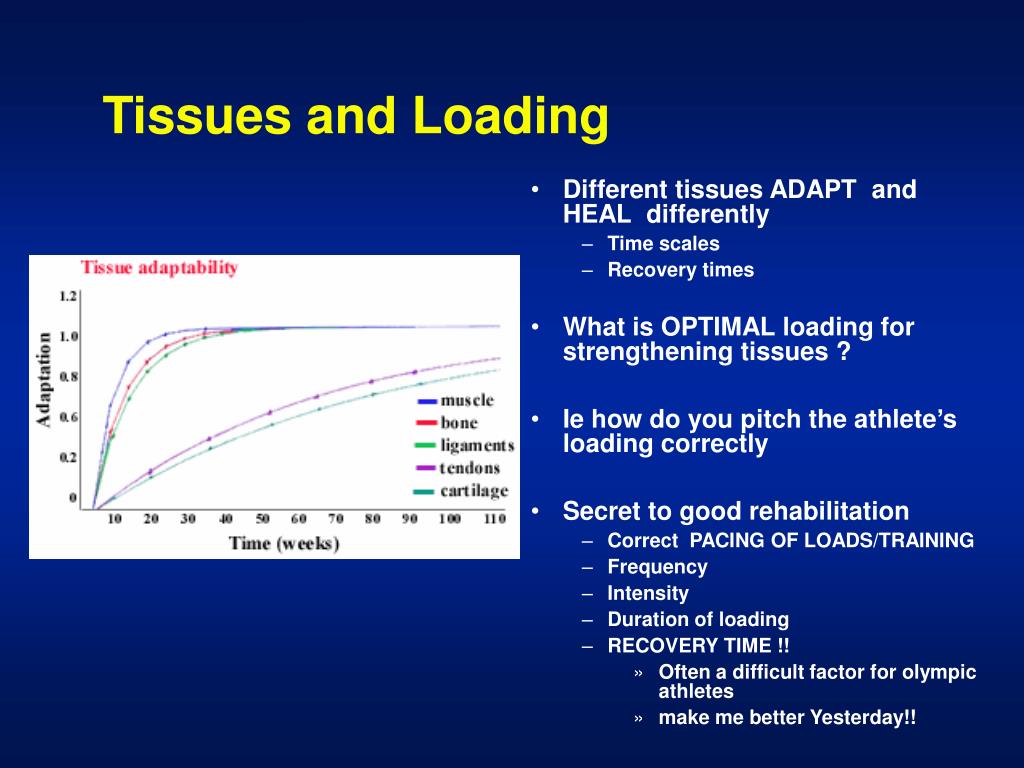 PPT - Sports Rehabilitation Key to Olympic success PowerPoint ...