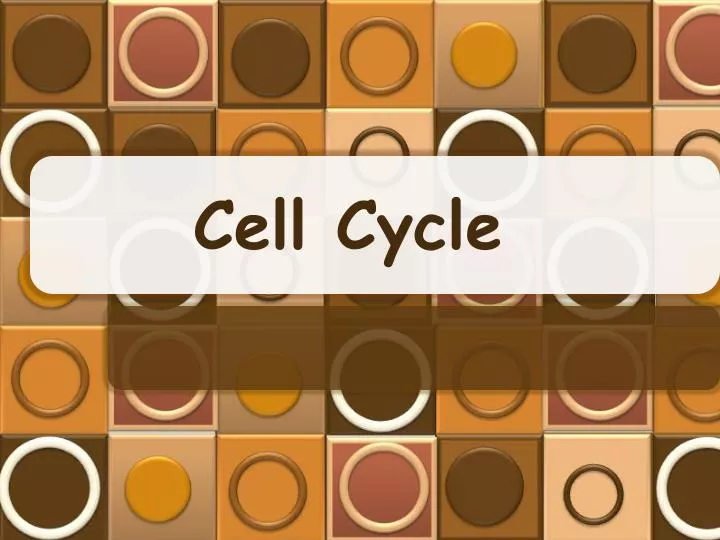 PPT - Cell Cycle PowerPoint Presentation, free download - ID:4358345