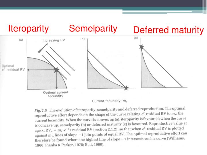 PPT - The Evolution of Life Histories PowerPoint Presentation - ID:4358444