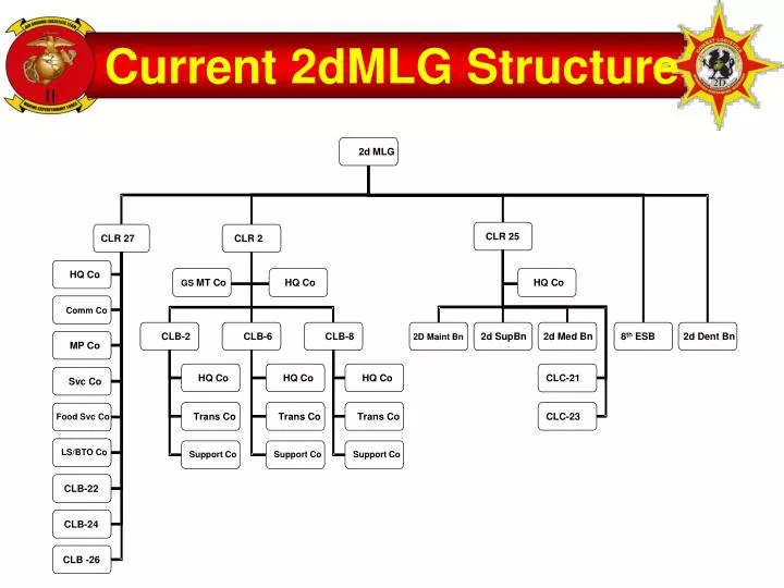 PPT - Current 2dMLG Structure PowerPoint Presentation, free download ...