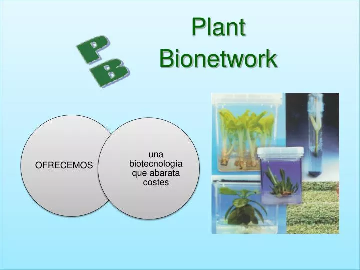 PPT - Plant Bionetwork PowerPoint Presentation, free download - ID:4359109