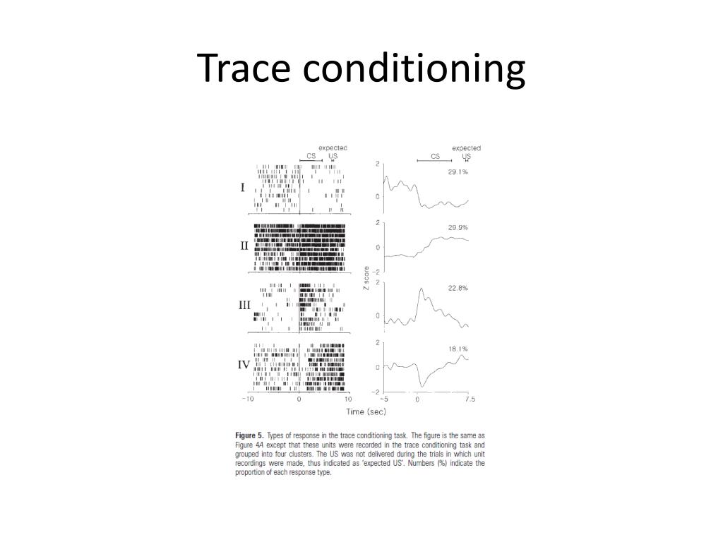 PPT - Eun Ha Baeg , Yun Bok Kim, Jinhwa Jang, PowerPoint Presentation ...