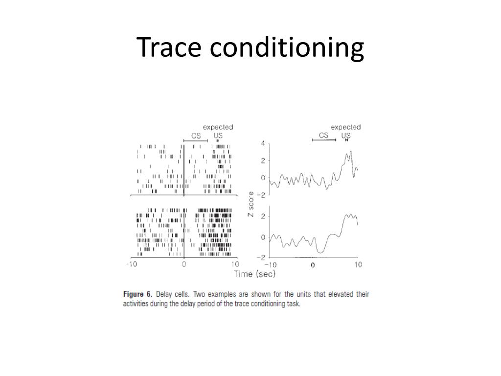 PPT - Eun Ha Baeg , Yun Bok Kim, Jinhwa Jang, PowerPoint Presentation ...