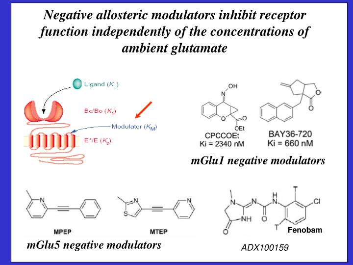 PPT - Dysregulation of glutamate homeostasis in the NAc core PowerPoint ...