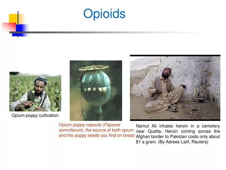 PPT - Opioids PowerPoint Presentation, free download - ID:4361127