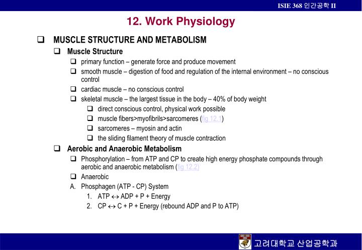 PPT - 10. Anthropometry and Work-Space Design PowerPoint Presentation ...