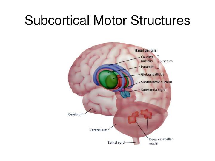 PPT - Making Things Happen - 2 Motor Disorders PowerPoint Presentation ...