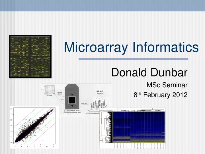 PPT - Microarray Informatics PowerPoint Presentation, free download ...