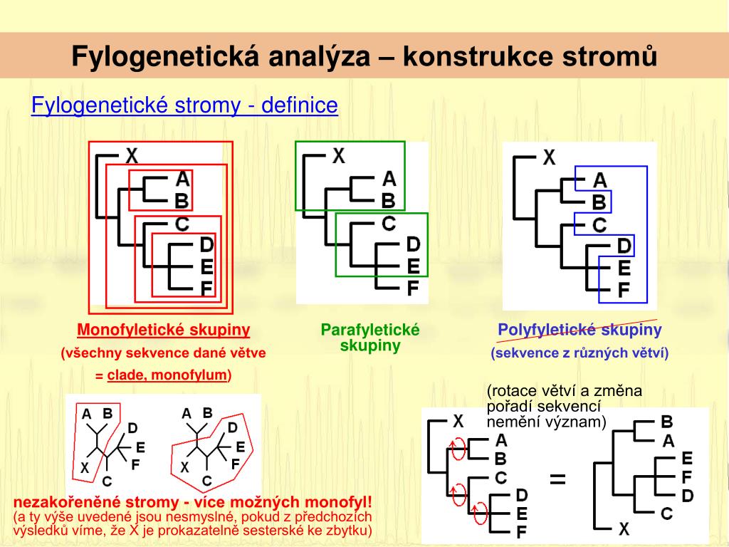 PPT - Metody molekulární biologie v ekologii a systematice rostlin 5 ...