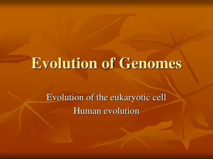 PPT - Evolution of Genomes PowerPoint Presentation, free download - ID:4363648
