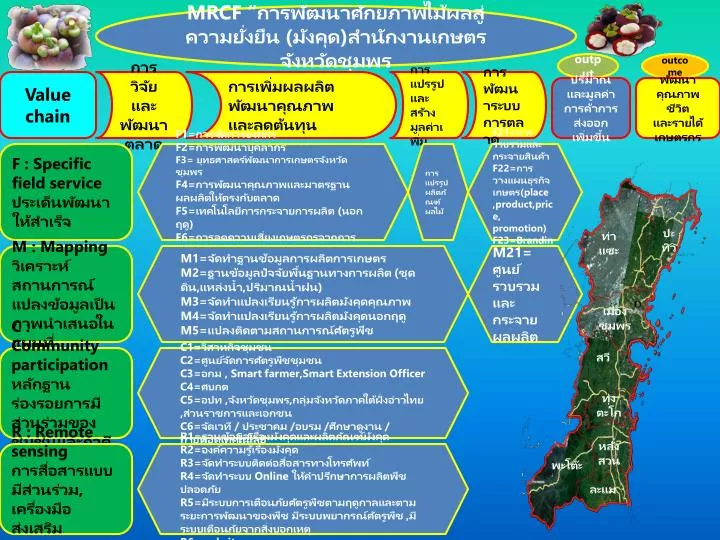 PPT - MRCF “การพัฒนาศักยภาพไม้ผลสู่ความยั่งยืน (มังคุด)สำนักงานเกษตร ...
