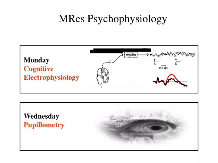 PPT - Monday Cognitive Electrophysiology PowerPoint Presentation, free ...