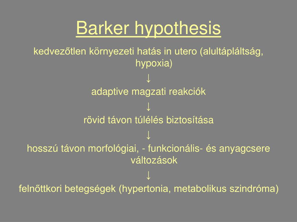 PPT - A felnőttkori betegségek praenatalis eredete PowerPoint ...