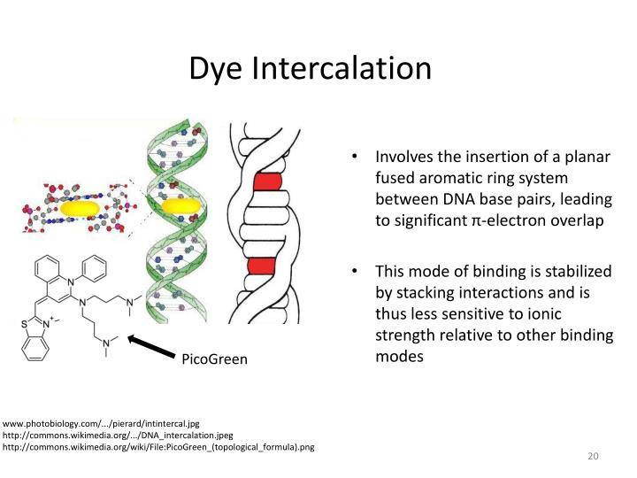 PPT - Novel Methods for the Detection of Nucleic Acid Sequences ...