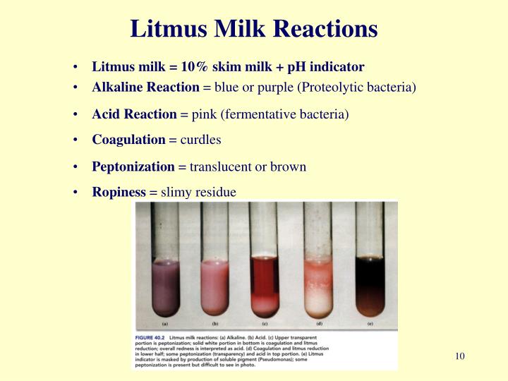 PPT - Physiological Characteristics PowerPoint Presentation - ID:4367535