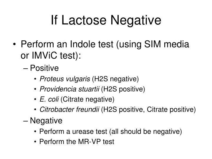 PPT - Gram Negative Rods PowerPoint Presentation - ID:4367539