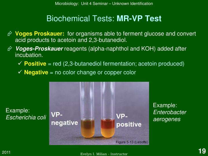 PPT - Unit 4 Seminar: Unknown Identification PowerPoint Presentation ...