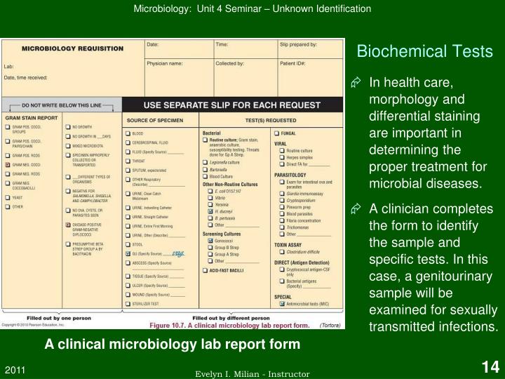 PPT - Unit 4 Seminar: Unknown Identification PowerPoint Presentation ...