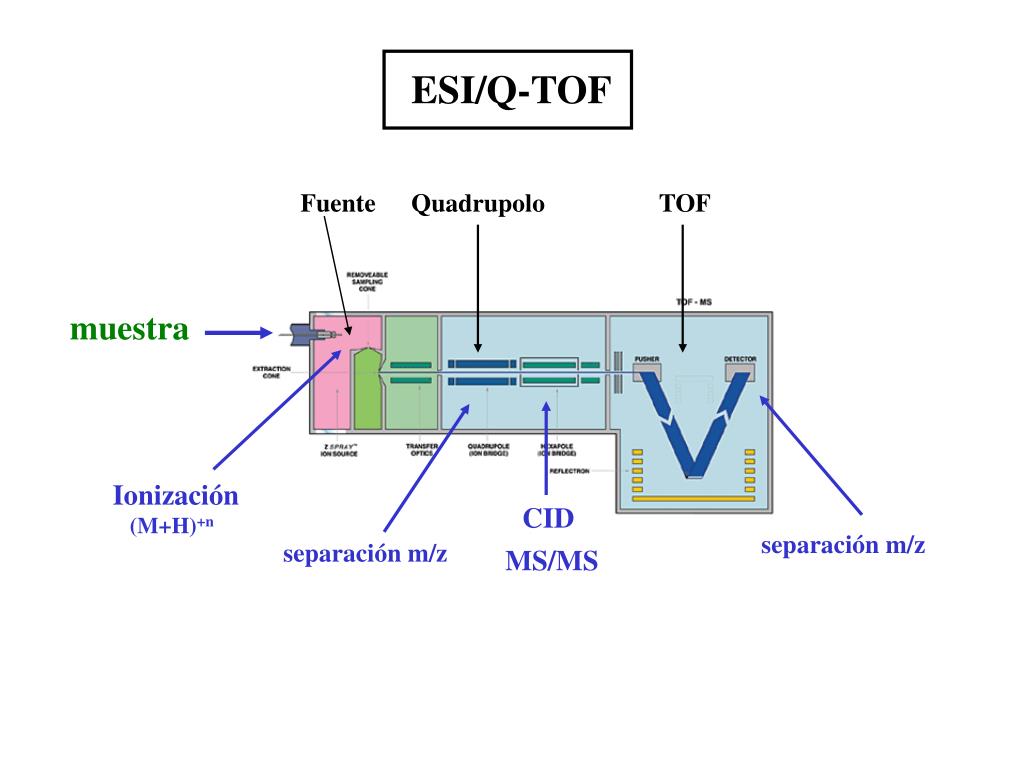 PPT - La Espectrometria de Masas en la Identificación de Proteinas PowerPoint Presentation - ID ...