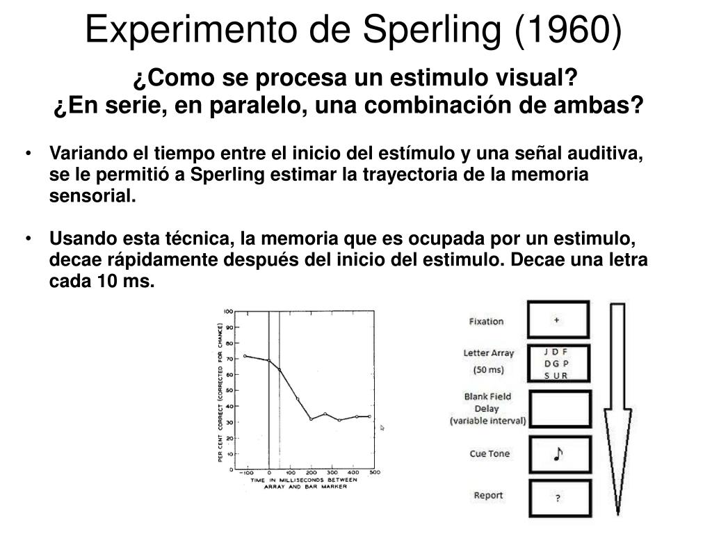 PPT - Reconocimiento perceptual en función de la significatividad del ...