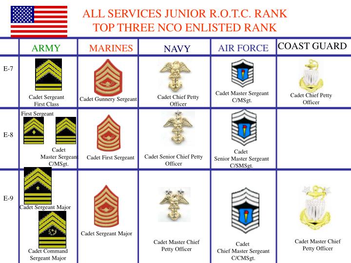 PPT - UNITED STATES ARMED FORCES RANK WARRANT OFFICERS PowerPoint ...