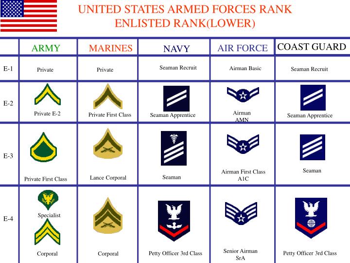 PPT - UNITED STATES ARMED FORCES RANK WARRANT OFFICERS PowerPoint ...