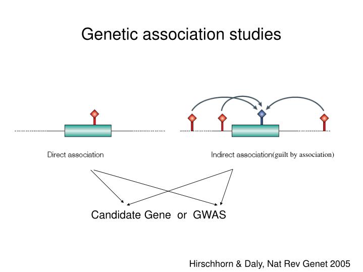 PPT - Genome-wide association studies (GWAS) PowerPoint Presentation ...