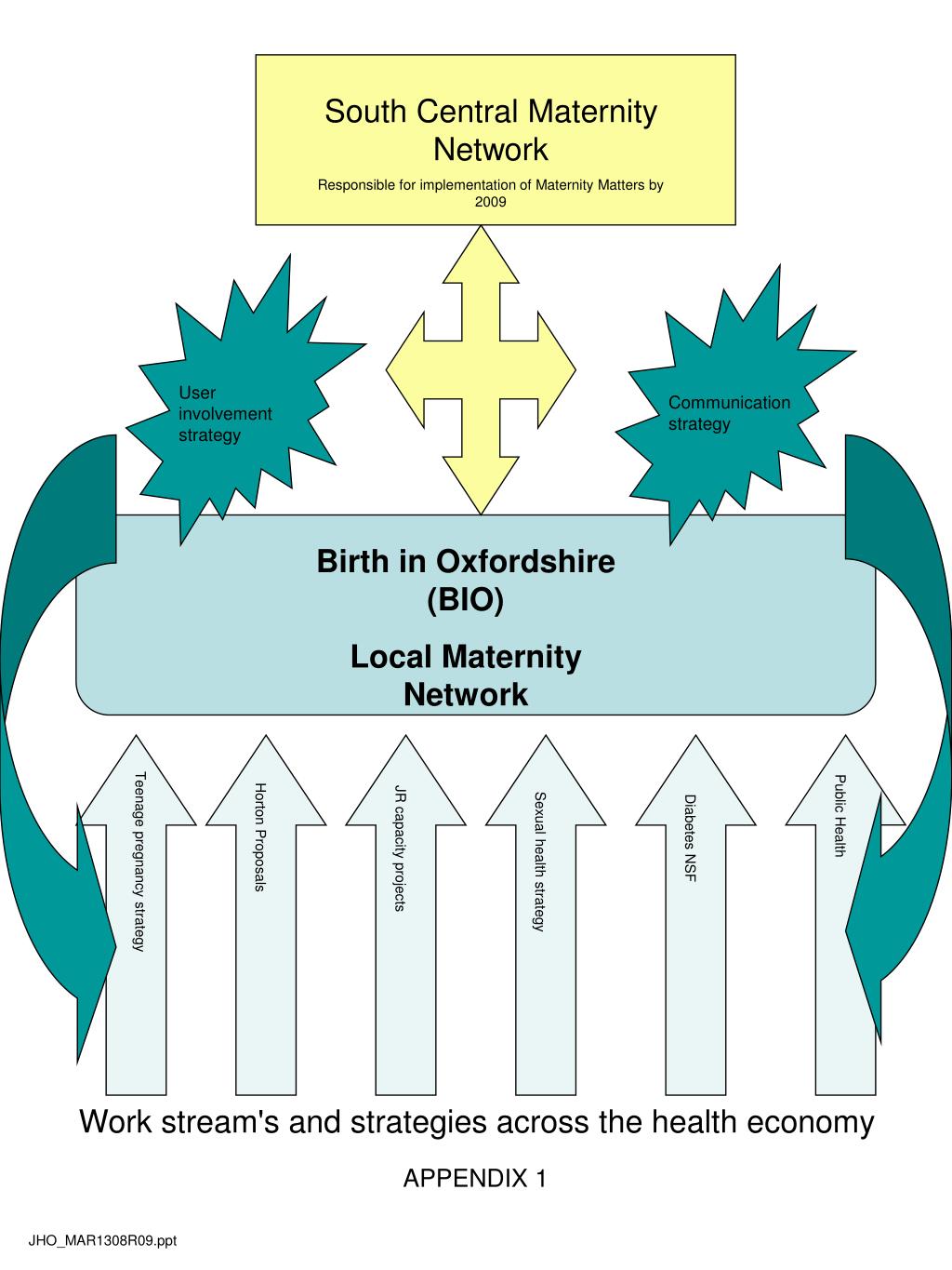 PPT - Birth in Oxfordshire (BIO) Local Maternity Network PowerPoint ...