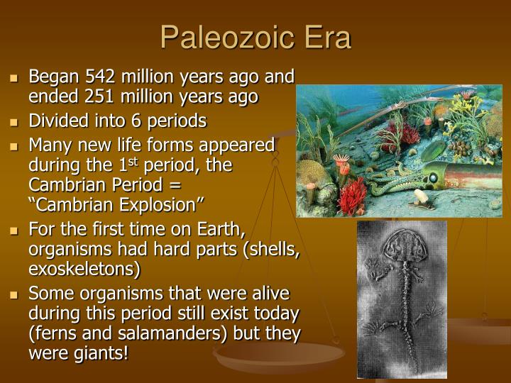 PPT - Geologic Time Scale PowerPoint Presentation - ID:4371757