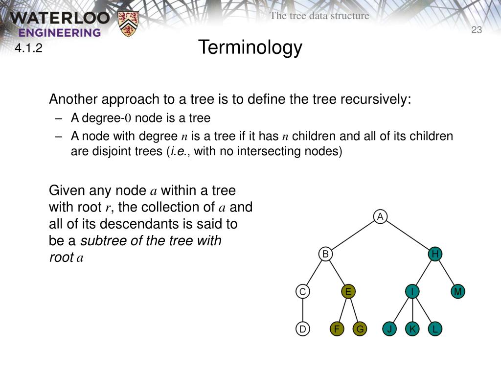 PPT The Tree Data Structure PowerPoint Presentation Free Download PPT The Tree Data Structure PowerPoint Presentation Free Download