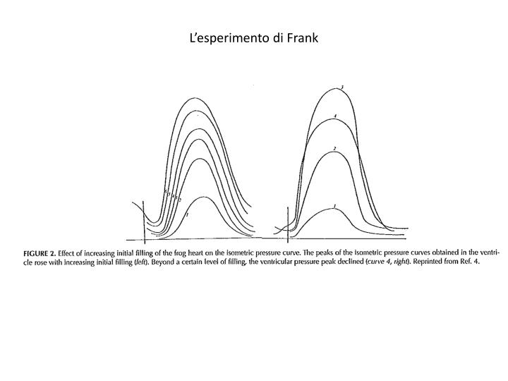 PPT - La legge di Frank Starling PowerPoint Presentation - ID:4375990